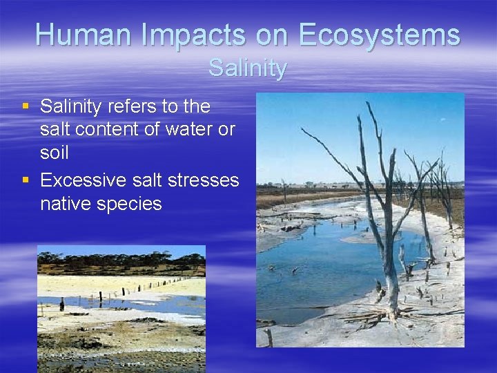 Changing Ecosystems Year 11 Biology Unit 2 Outcome