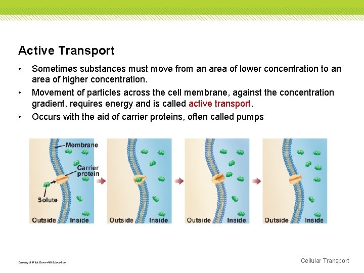 Section 4 Cellular Transport Cellular transport moves substances