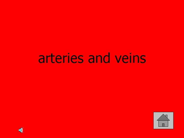 Circulatory System Jeopardy Test Review Blood Vessels Circulation