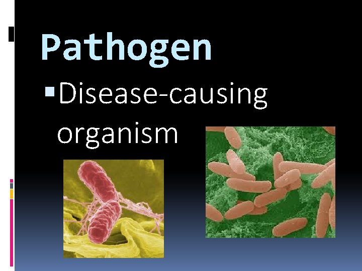 DISEASES AND BIOTECHNOLOGY VOCABULARY PART 2 8 th