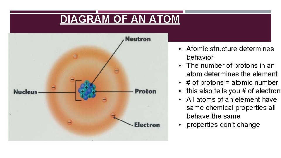 CHEMISTRY AND AP BIO LESSON 1 CHEMISTRY REVIEW