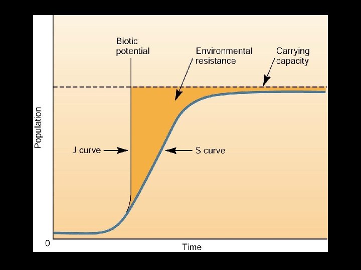 9 Population Dynamics Carrying Capacity and Conservation Biology