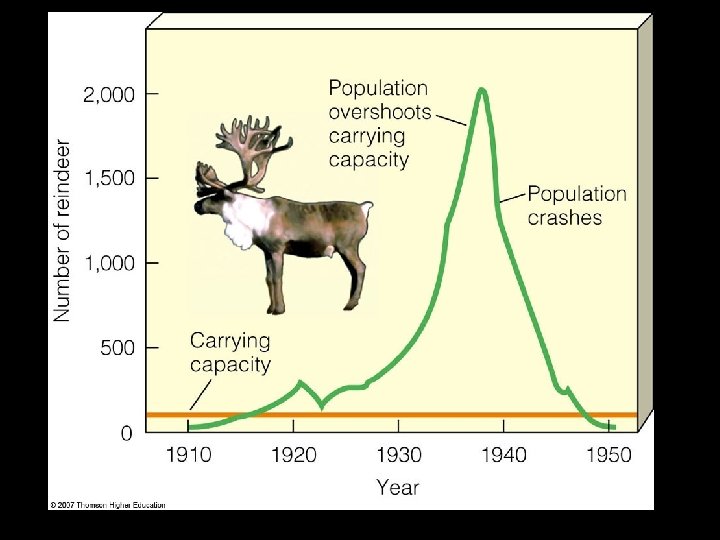9 Population Dynamics Carrying Capacity and Conservation Biology