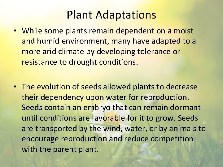 BOTANY MAIN LESSON LO Sit Spot Descriptions Explore