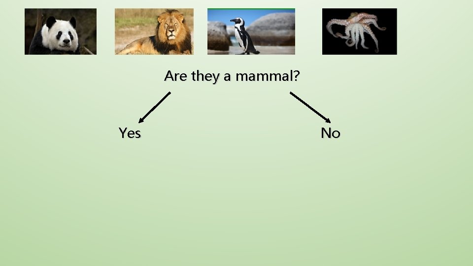 Classification We are going to be investigating what