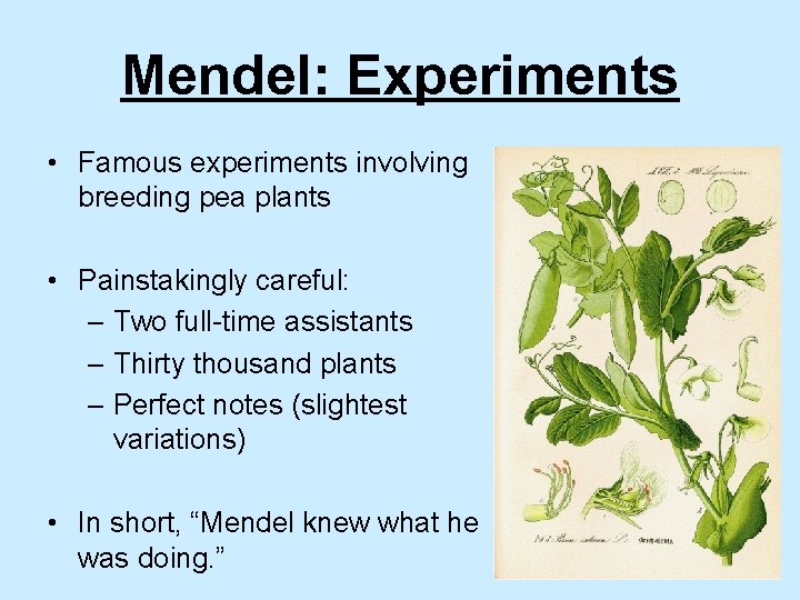 Genetics The field of Biology that studies how