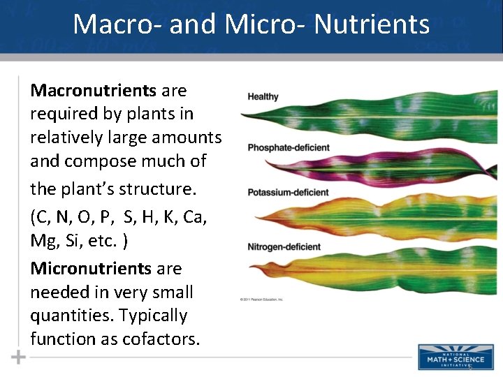 Botany Part III Plant Nutrition Figure 36 2