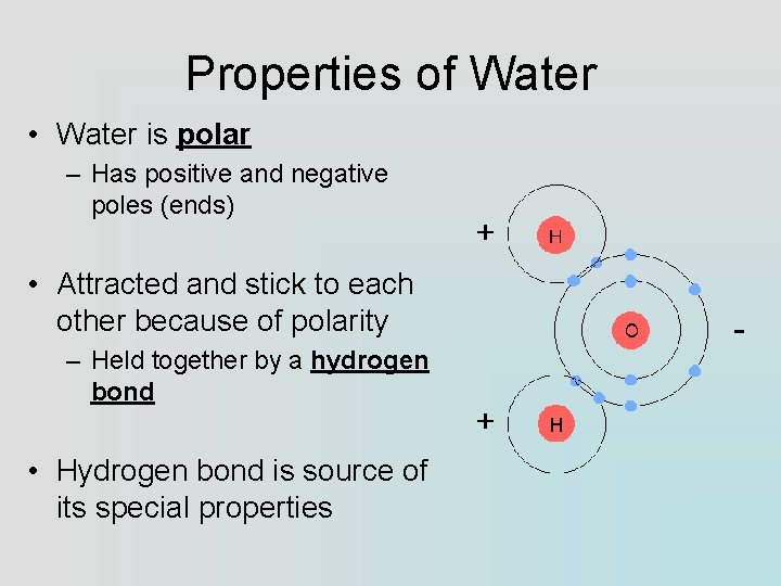 Properties of Water Learning Target I can describe