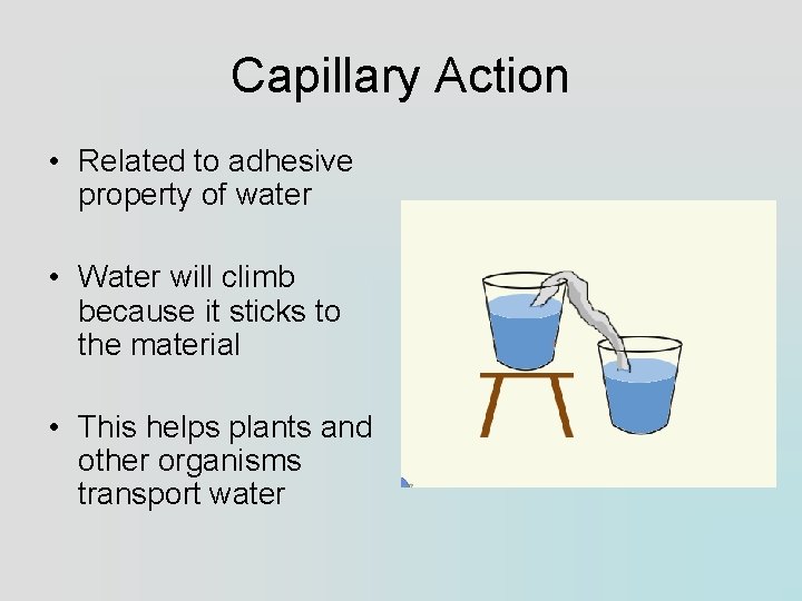 Properties of Water Learning Target I can describe