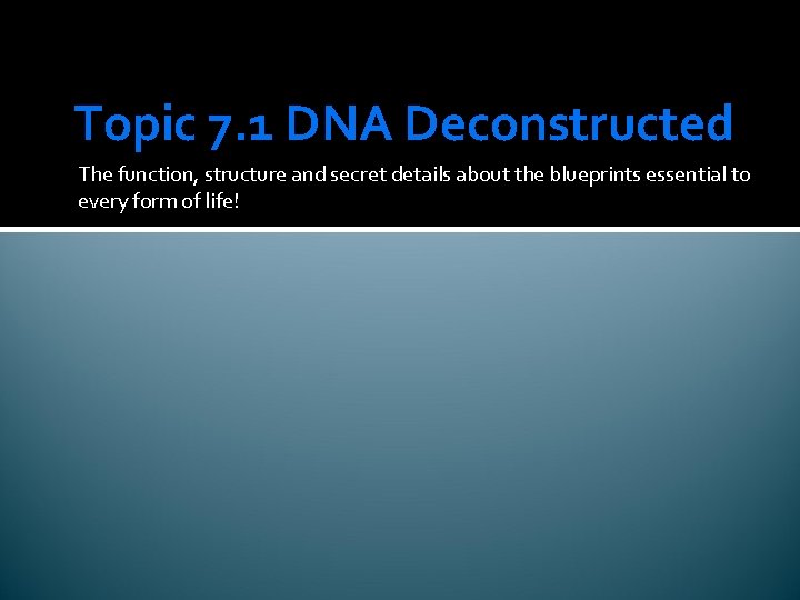 Biology HL Mrs Ragsdale Topic 7 Nucleic Acids