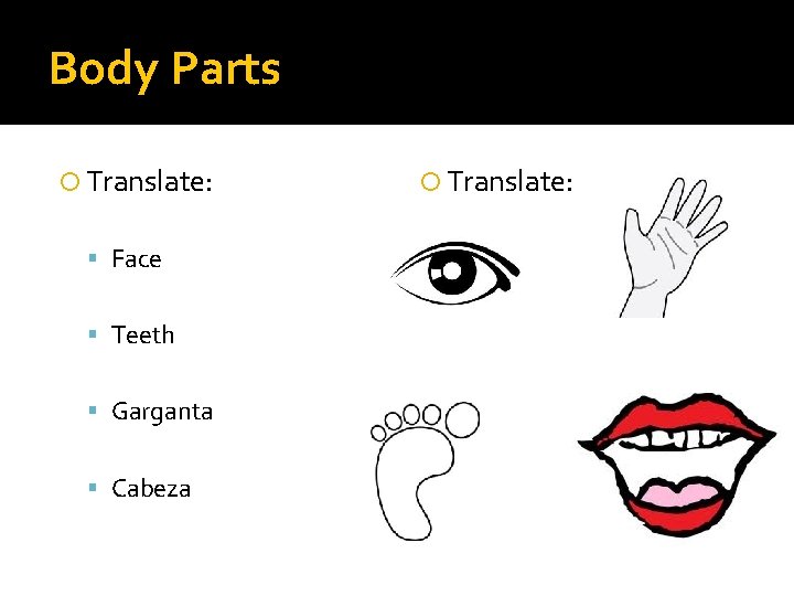 Body Parts Reflexive Verbs SECTION 7 1 TEST