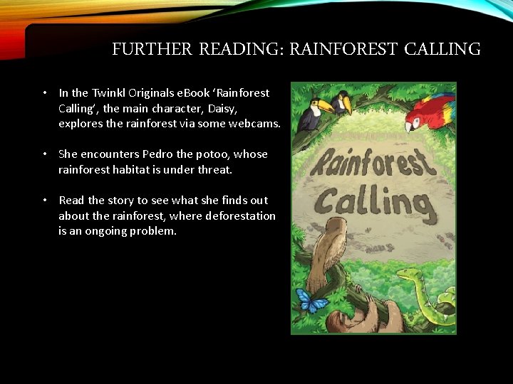 How can the rainforest be protected Learning Objective