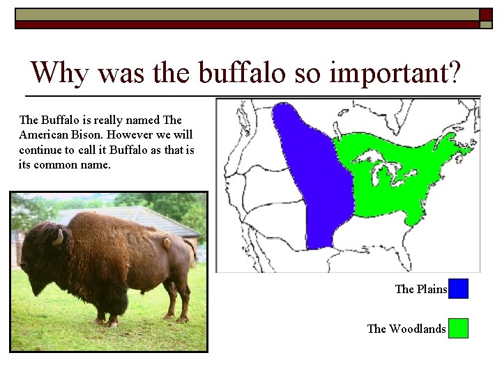 Native Americans Sioux The Role of The Buffalo