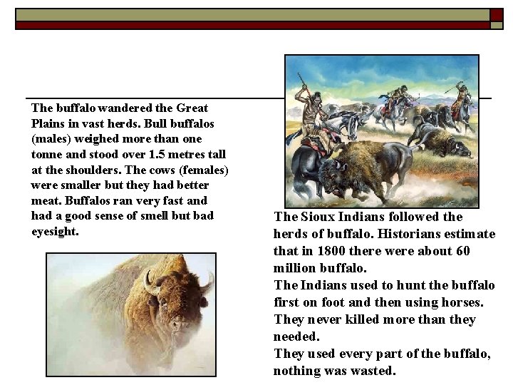 Native Americans Sioux The Role of The Buffalo