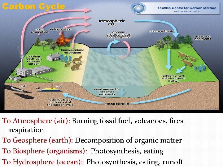 Earths Cycles of Matter Biology Unit 1 Chapter