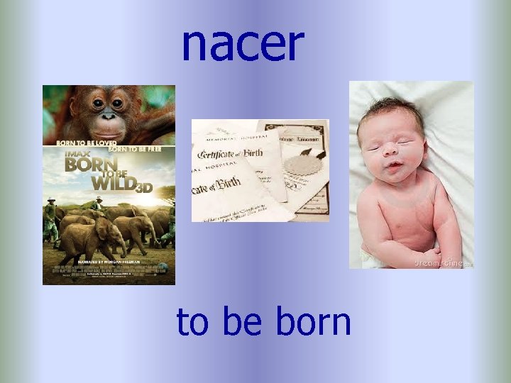 Tema 4 B Vocabulario Celebrando los das festivos