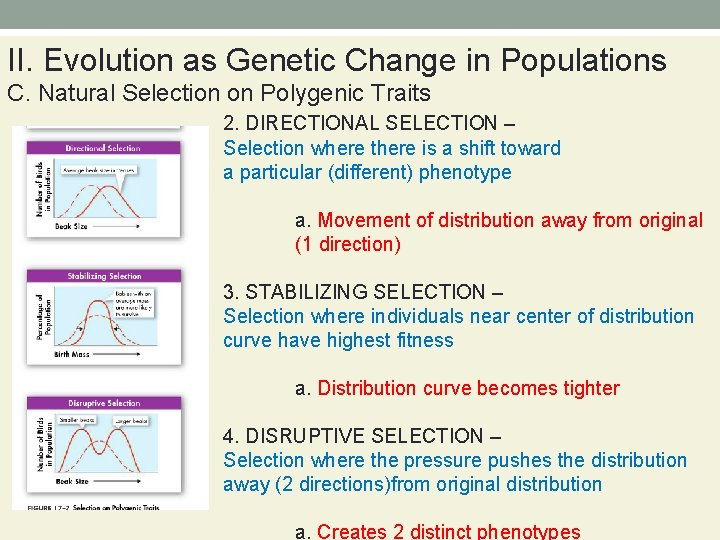 BIOLOGY CHAPTER 17 Evolution of Populations I Genes