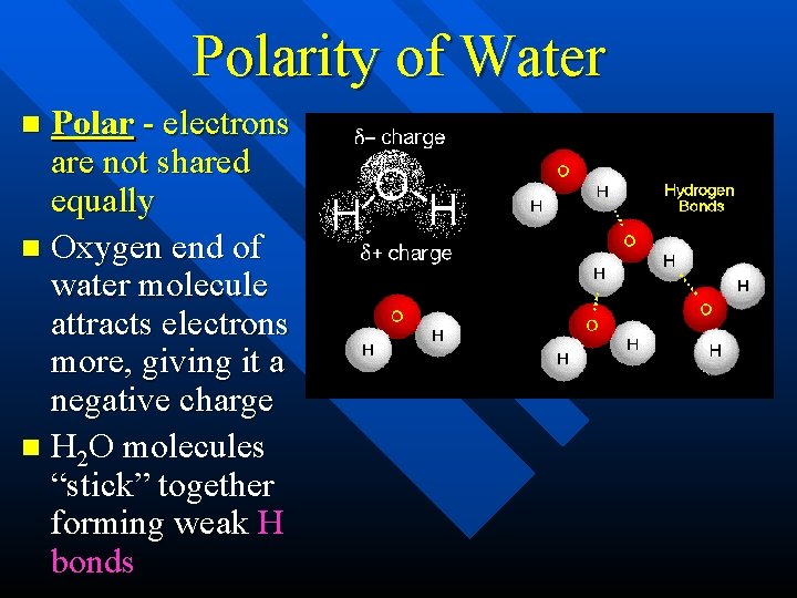 Water Properties from a Biological perspective Importance of