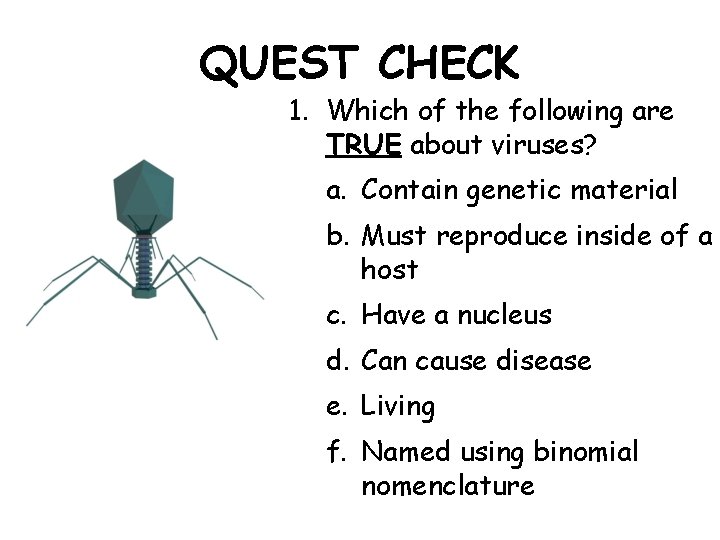 VIRUS AND BACTERIA TEST REVIEW sda QUEST CHECK