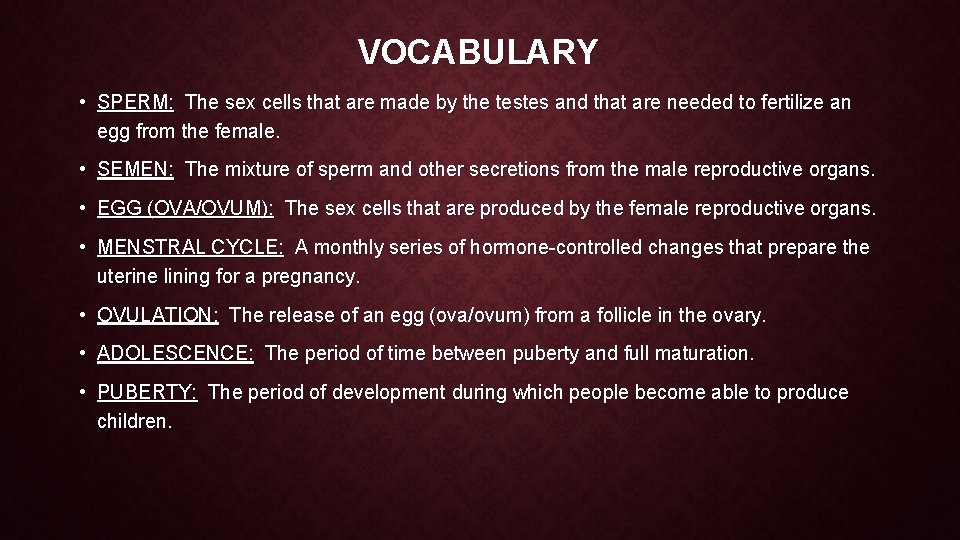 UNDERSTANDING PUBERTY VOCABULARY SPERM The sex cells that