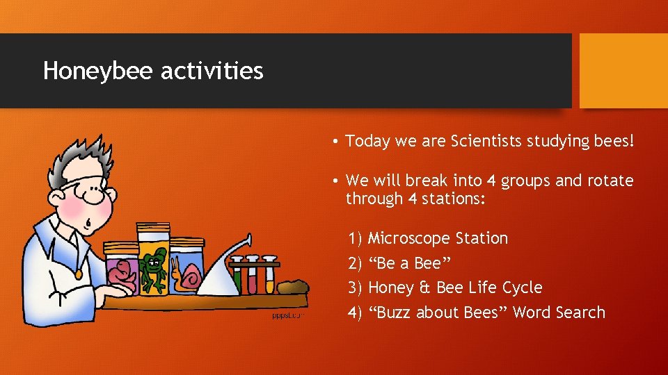Life Cycle and Honeybees 2 nd Grade Amazing