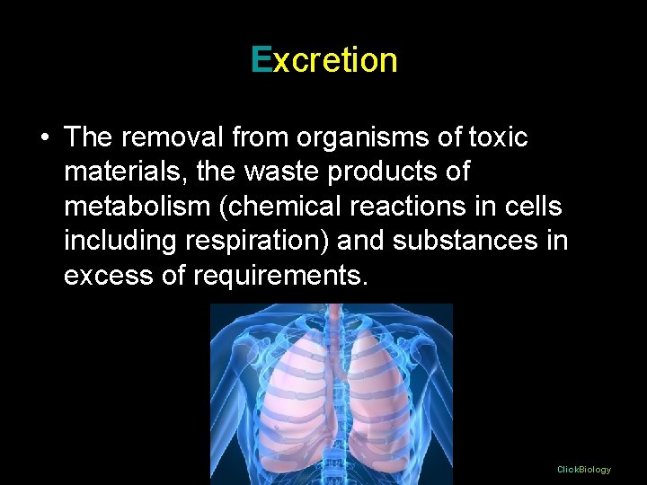 Characteristics of Living Things Click Biology GET OUT