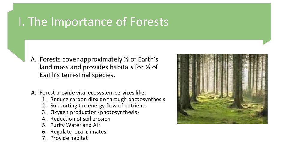 Lesson 8 Sustaining Biodiversity Ecosystem Management Environmental Science