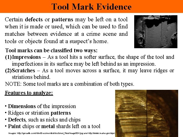 Warm Up Objective Scientists will describe tool mark
