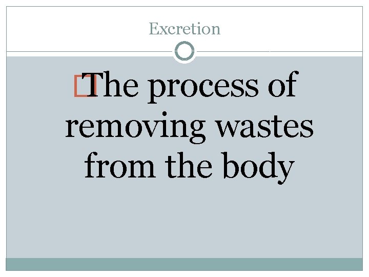 Excretory System GETTING RID OF METABOLIC WASTES Excretion