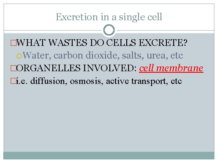 Excretory System GETTING RID OF METABOLIC WASTES Excretion