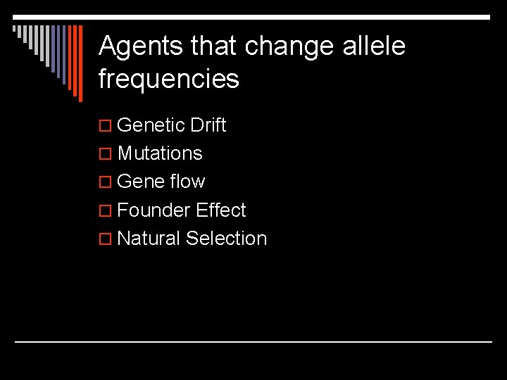 Patterns of Evolution Year 12 Biology Revision of