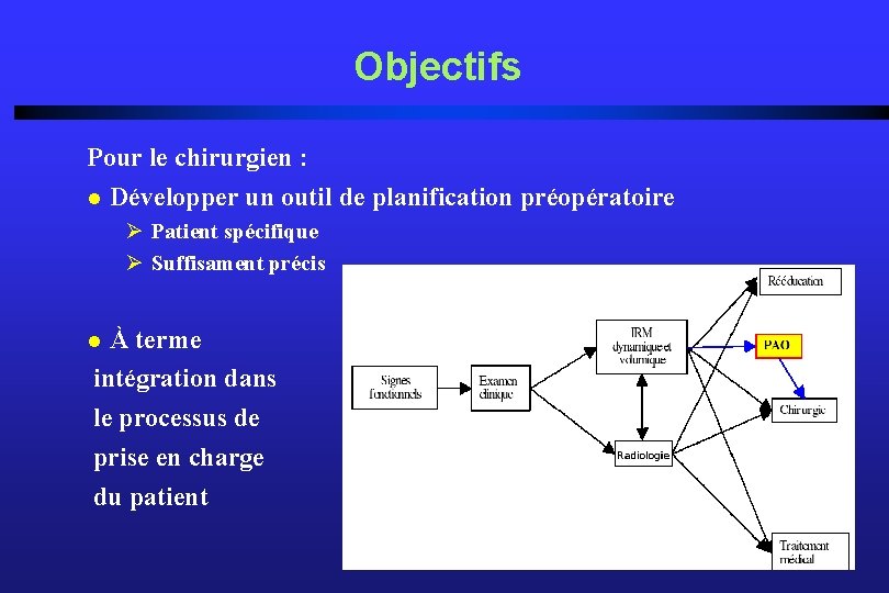 Modlisation des organes du petit bassin de la