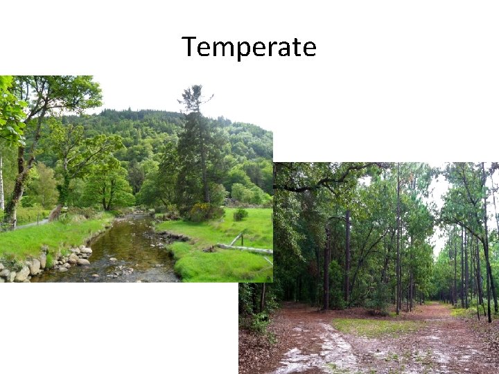 Chapter 15 Biomes Life in Communities Ecosystems are