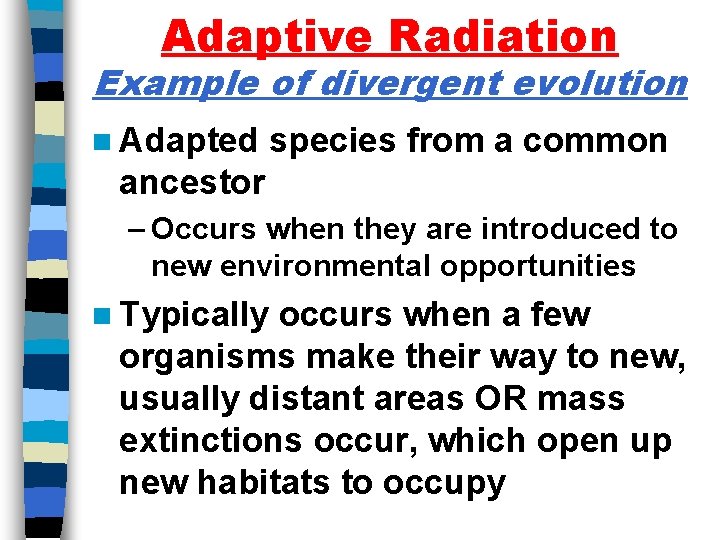 Evolution and Speciation Ms Day Honors Biology LECTURE