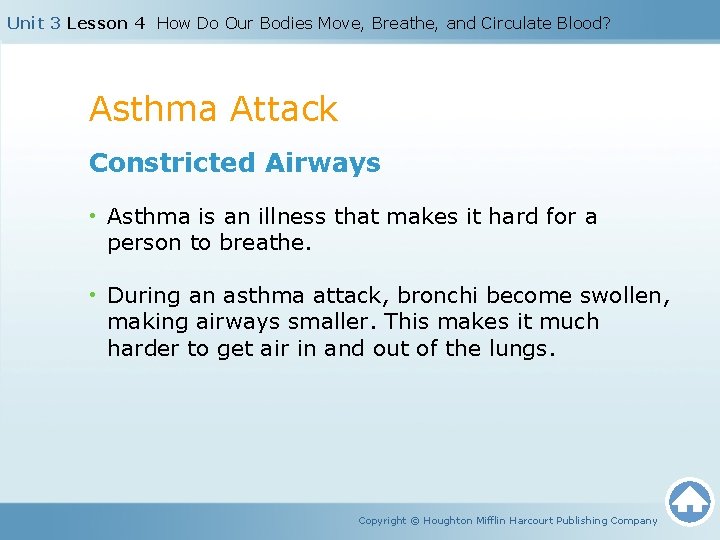 Unit 3 Lesson 4 How Do Our Bodies
