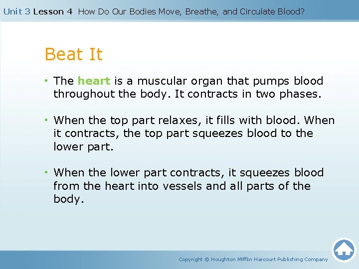 Unit 3 Lesson 4 How Do Our Bodies