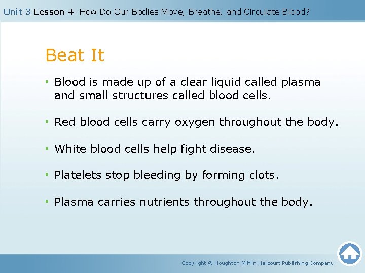 Unit 3 Lesson 4 How Do Our Bodies