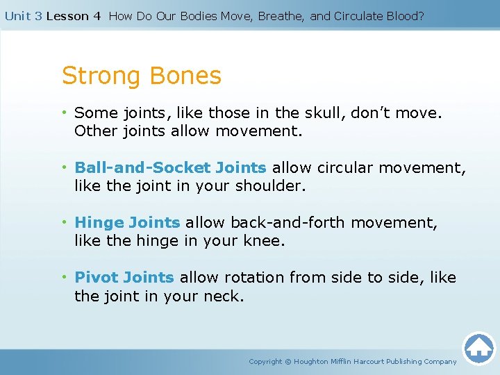 Unit 3 Lesson 4 How Do Our Bodies