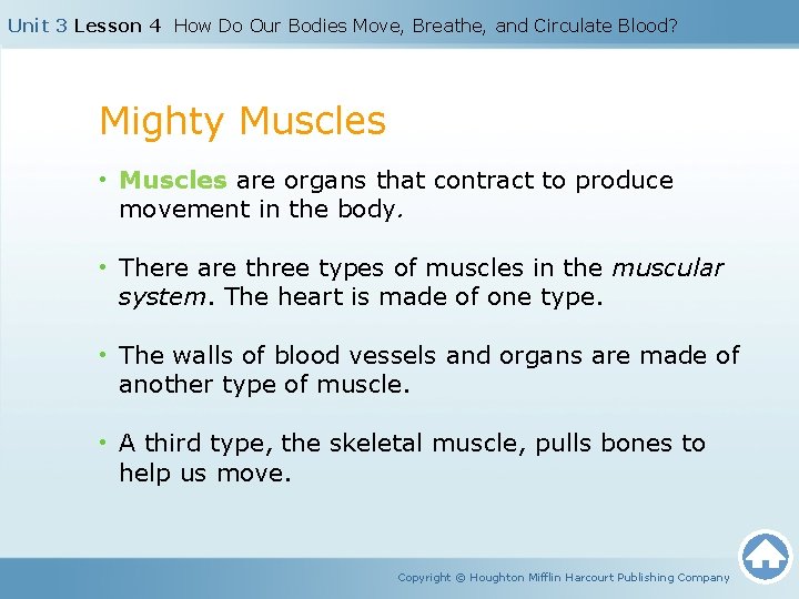 Unit 3 Lesson 4 How Do Our Bodies