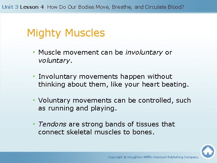 Unit 3 Lesson 4 How Do Our Bodies