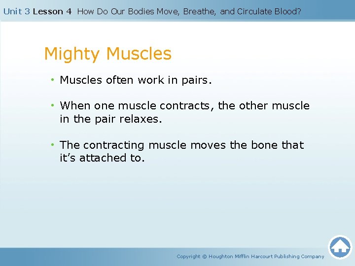 Unit 3 Lesson 4 How Do Our Bodies