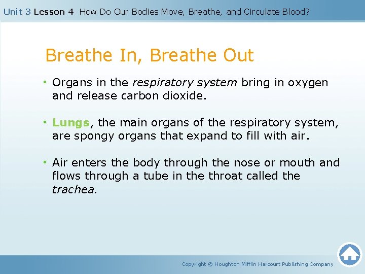 Unit 3 Lesson 4 How Do Our Bodies