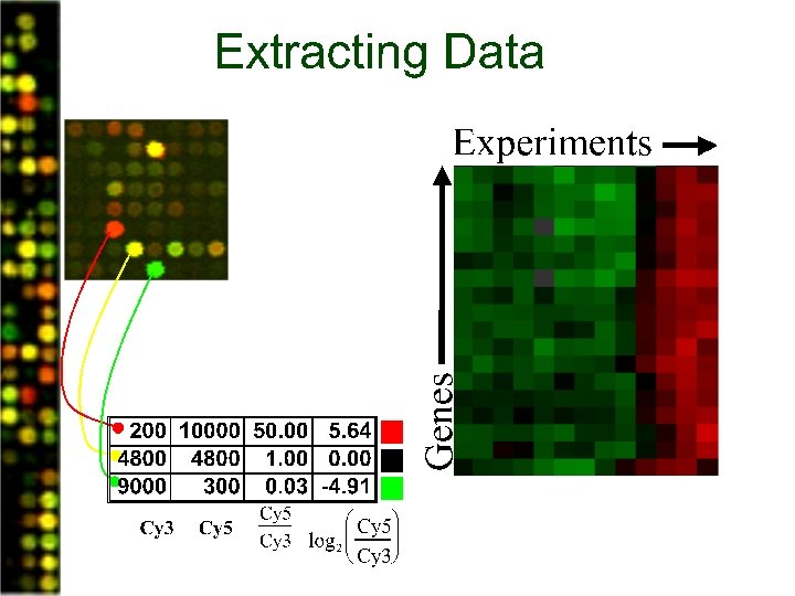 BI 420 Introduction to Bioinformatics Gene Expression Analysis