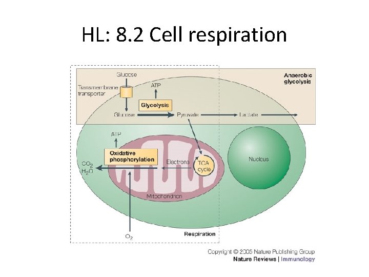 Daily Assessment November 29 What is the function
