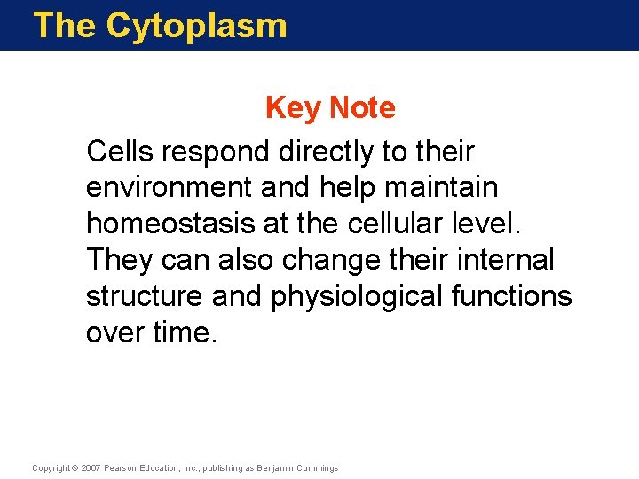 Lecture 6 Chapter 3 Biology of the cell