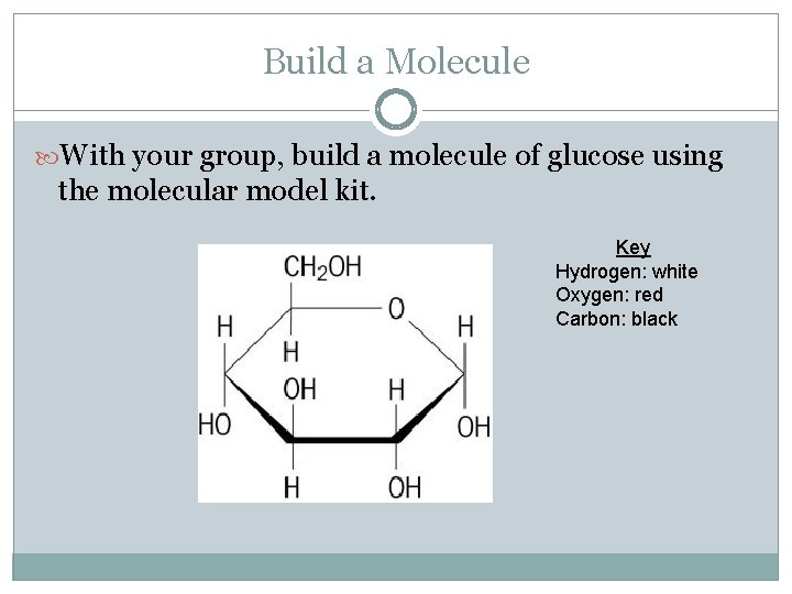 Building Carbohydrates Build a Molecule With your group