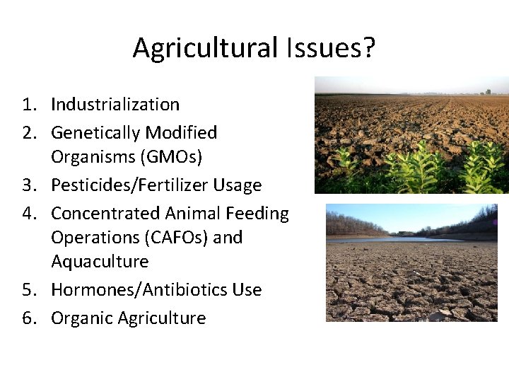 Agriculture 101 Warm Up Think back to calculating