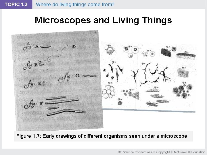 BC Science Connections 8 UNIT 1 Life processes