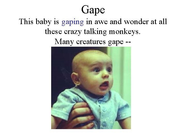 Vocabulary In Pictures Unit 1 Vocabulary Notes We