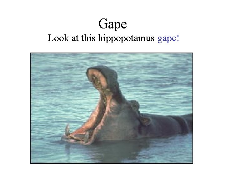 Vocabulary In Pictures Unit 1 Vocabulary Notes We